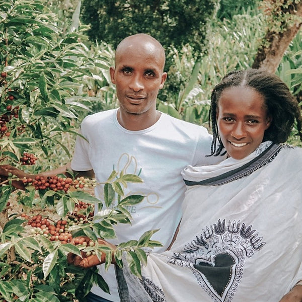 Goraa Smallholders Anaerobic Natural - Guji – Nero Scuro Specialty Coffees